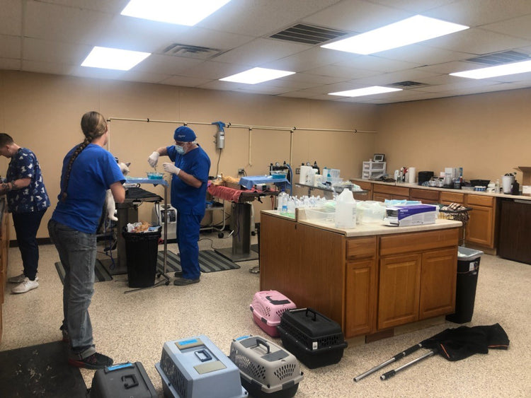 ABOUT SPAY OKLAHOMA – Spay Oklahoma