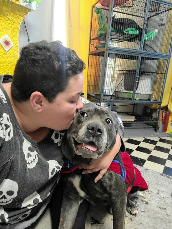 book – Spay Oklahoma