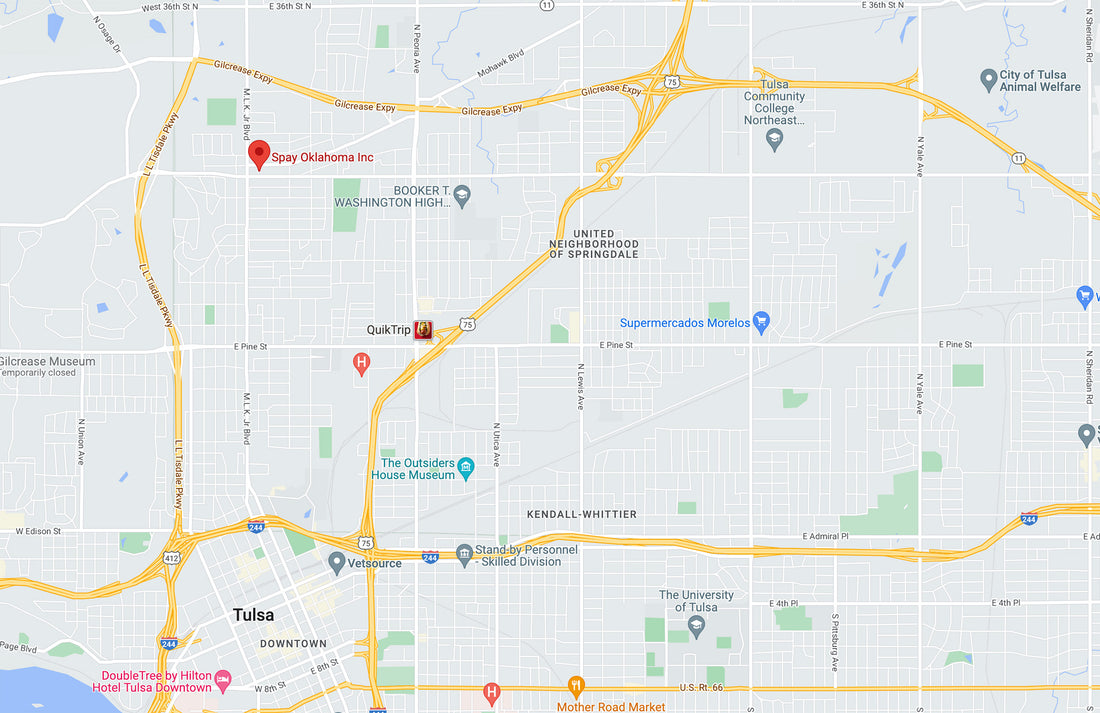 Spay Oklahoma